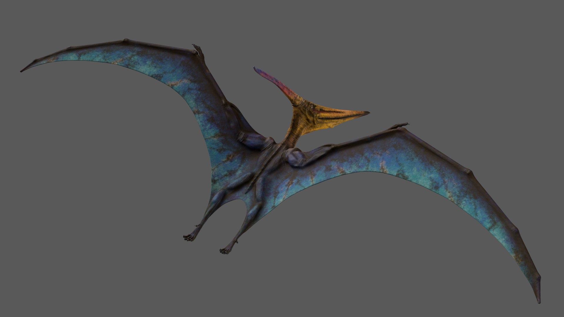 3D Rigged Pteranodon Longiceps Cyan Model - TurboSquid 1519395