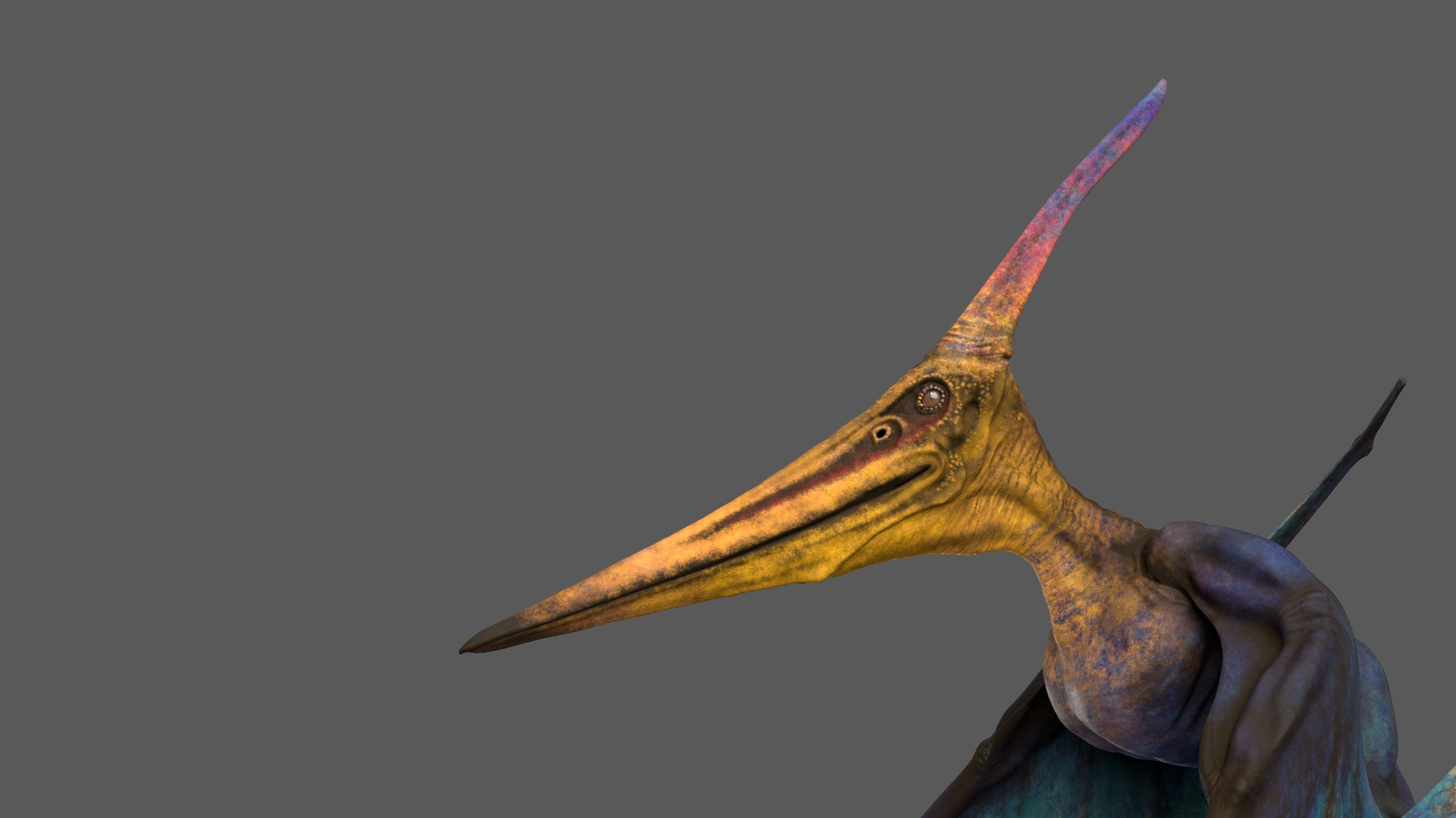 Pteranodon Longiceps 청록색 리지드 3D 모델 - TurboSquid 1519395