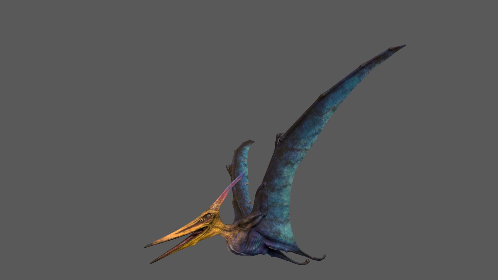 3D Rigged Pteranodon Longiceps Cyan Model - TurboSquid 1519395