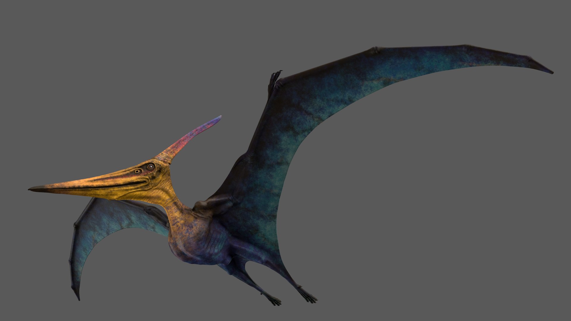 3D Rigged Pteranodon Longiceps Cyan Model - TurboSquid 1519395