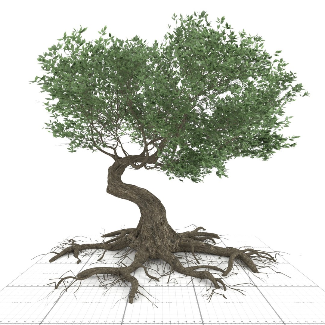 3D Tree Twisted Old - TurboSquid 1351543