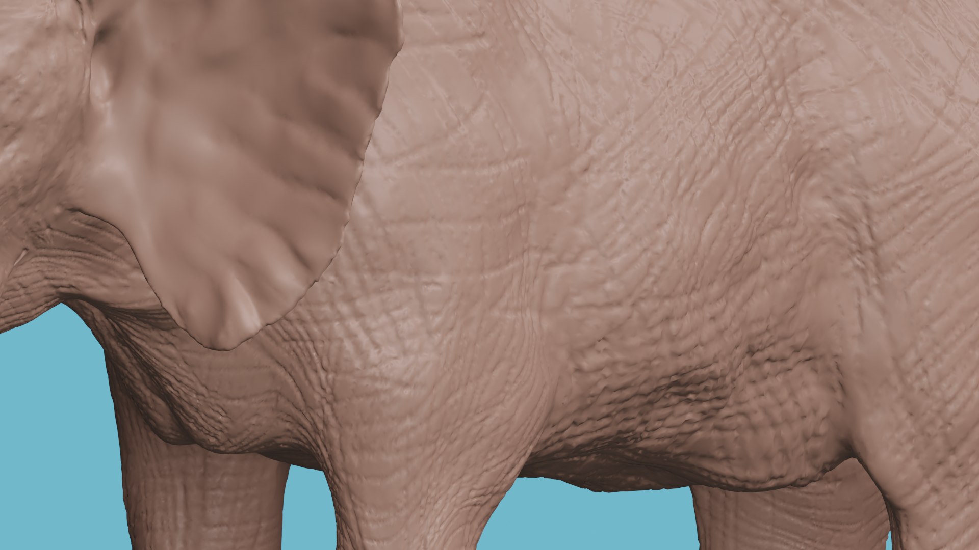 Asian Elephant with blender 3D model - TurboSquid 2054195