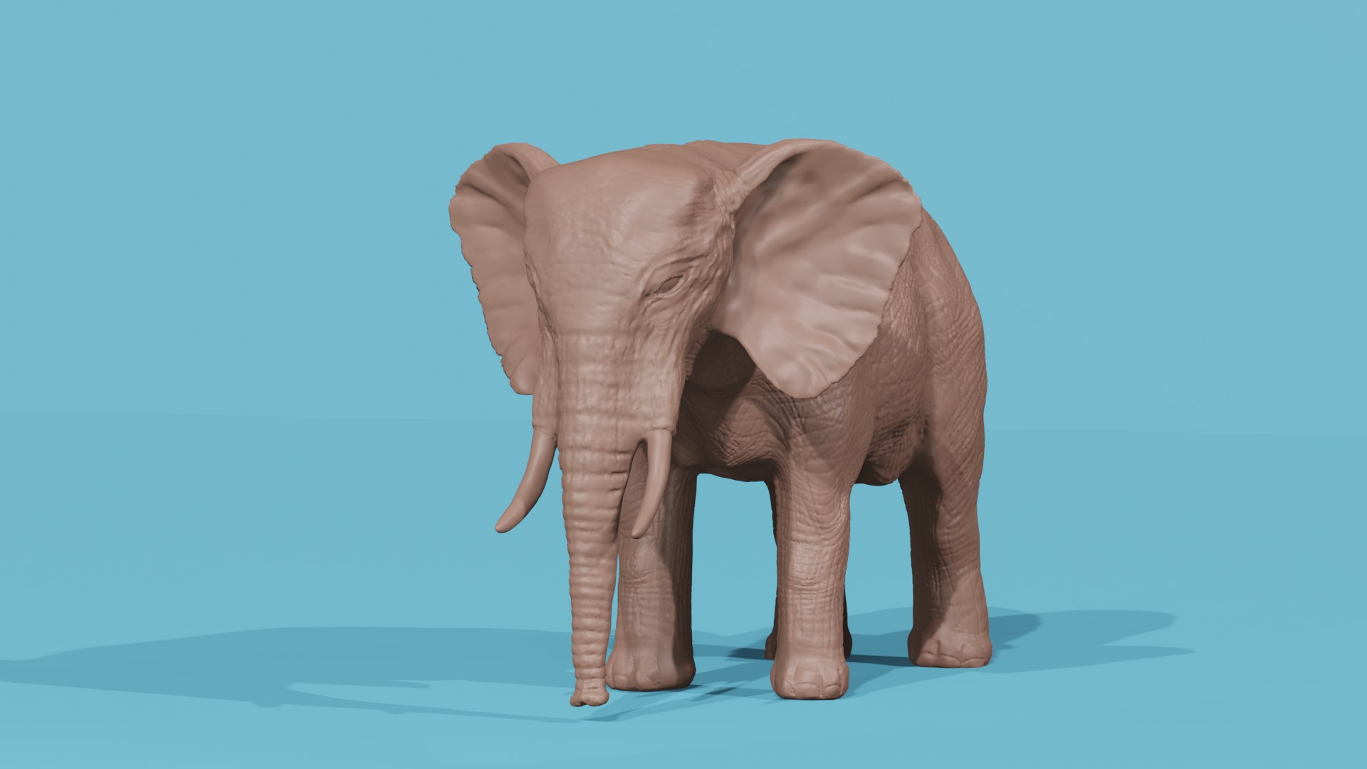 Asian Elephant with blender 3D model - TurboSquid 2054195