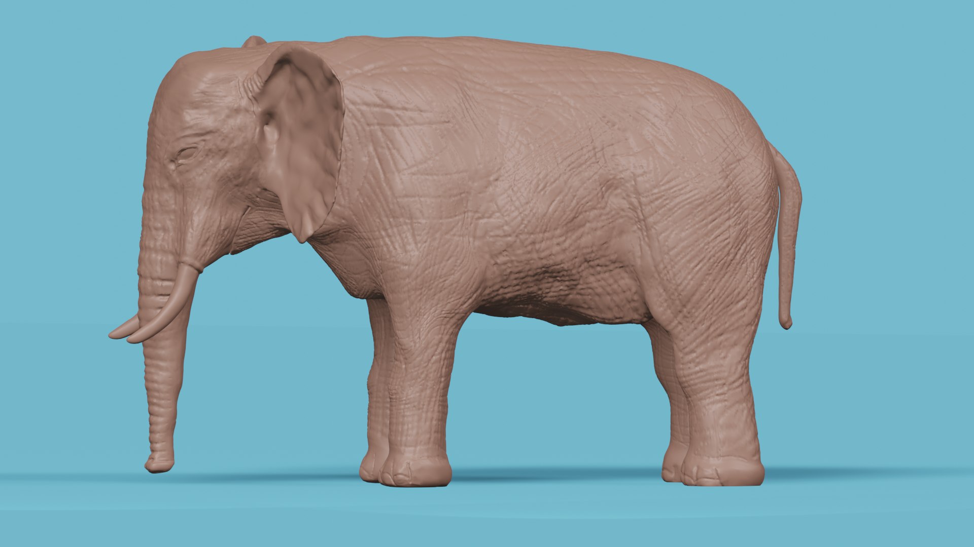 Asian Elephant with blender 3D model - TurboSquid 2054195