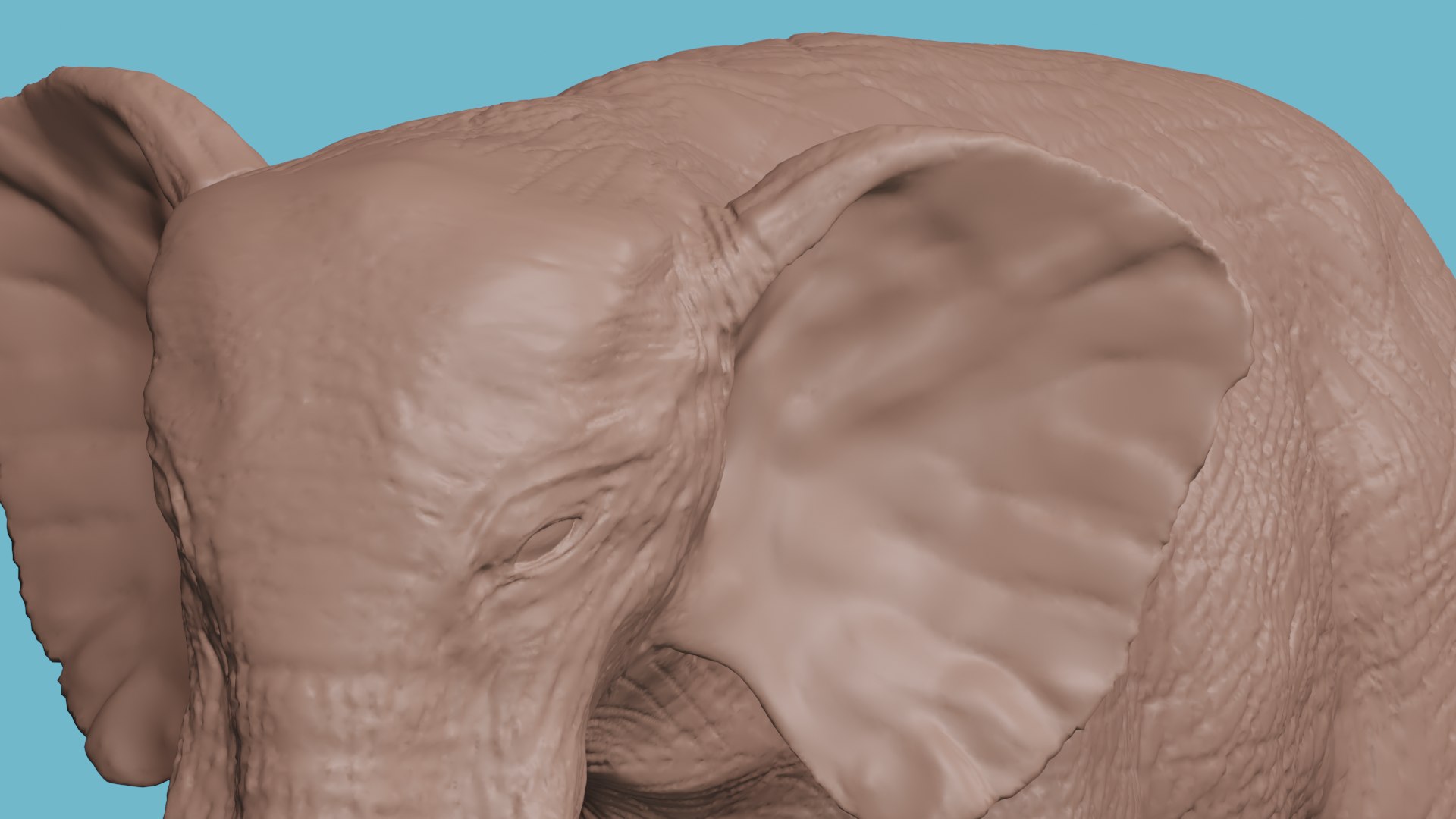 Asian Elephant with blender 3D model - TurboSquid 2054195