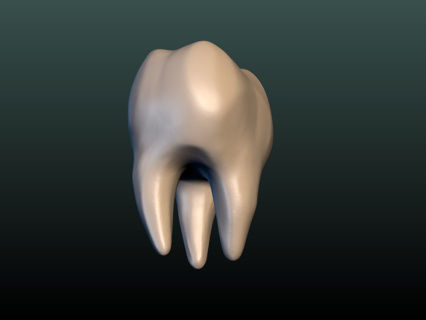 Tooth 3D Model - TurboSquid 1269379