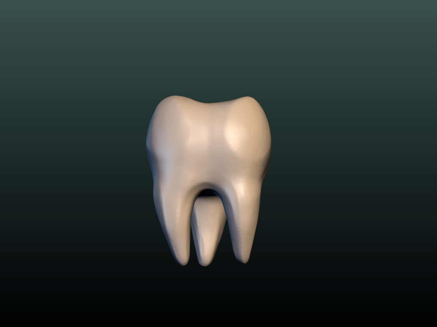 Tooth 3D Model - TurboSquid 1269379