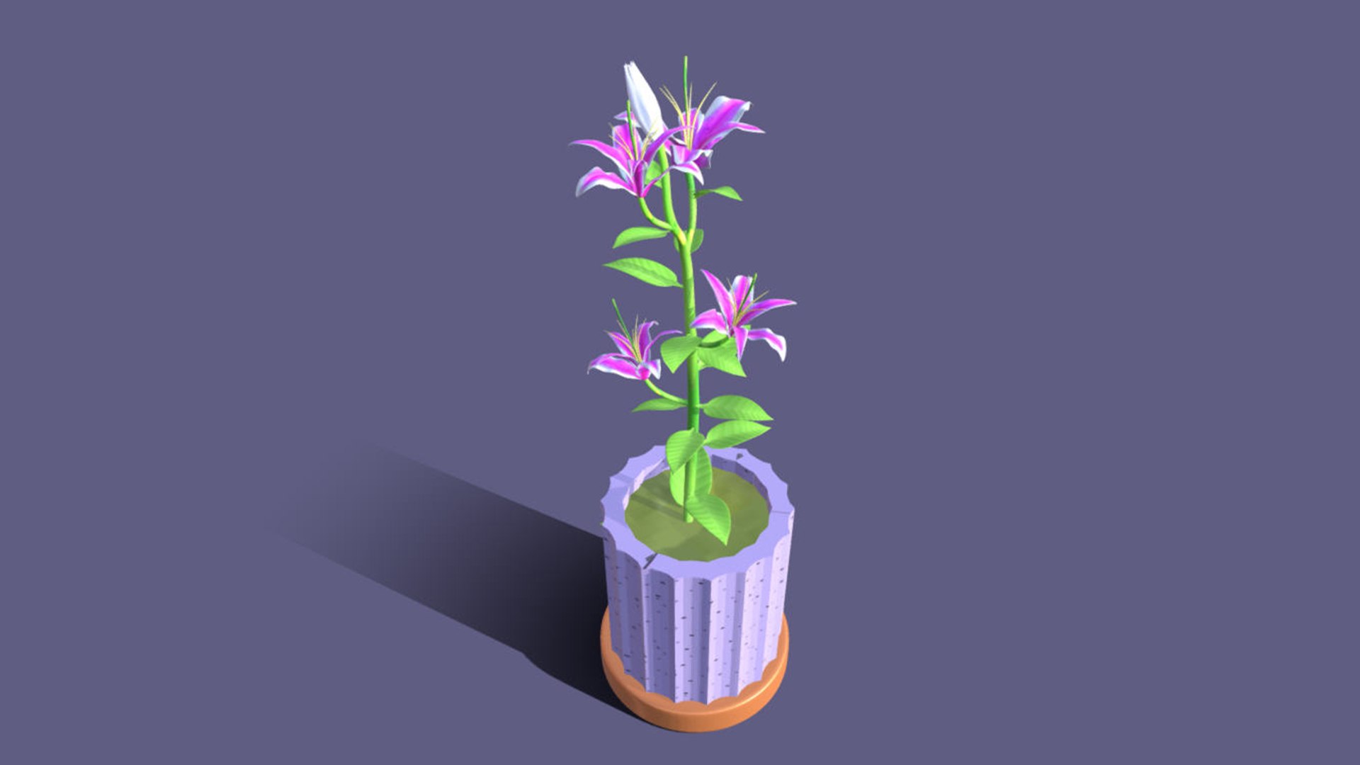 3D Flower Star Gazer Lily - TurboSquid 2067817