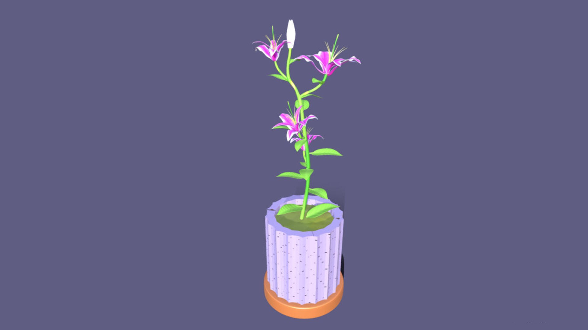 3D Flower Star Gazer Lily - TurboSquid 2067817