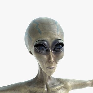 female grey alien render