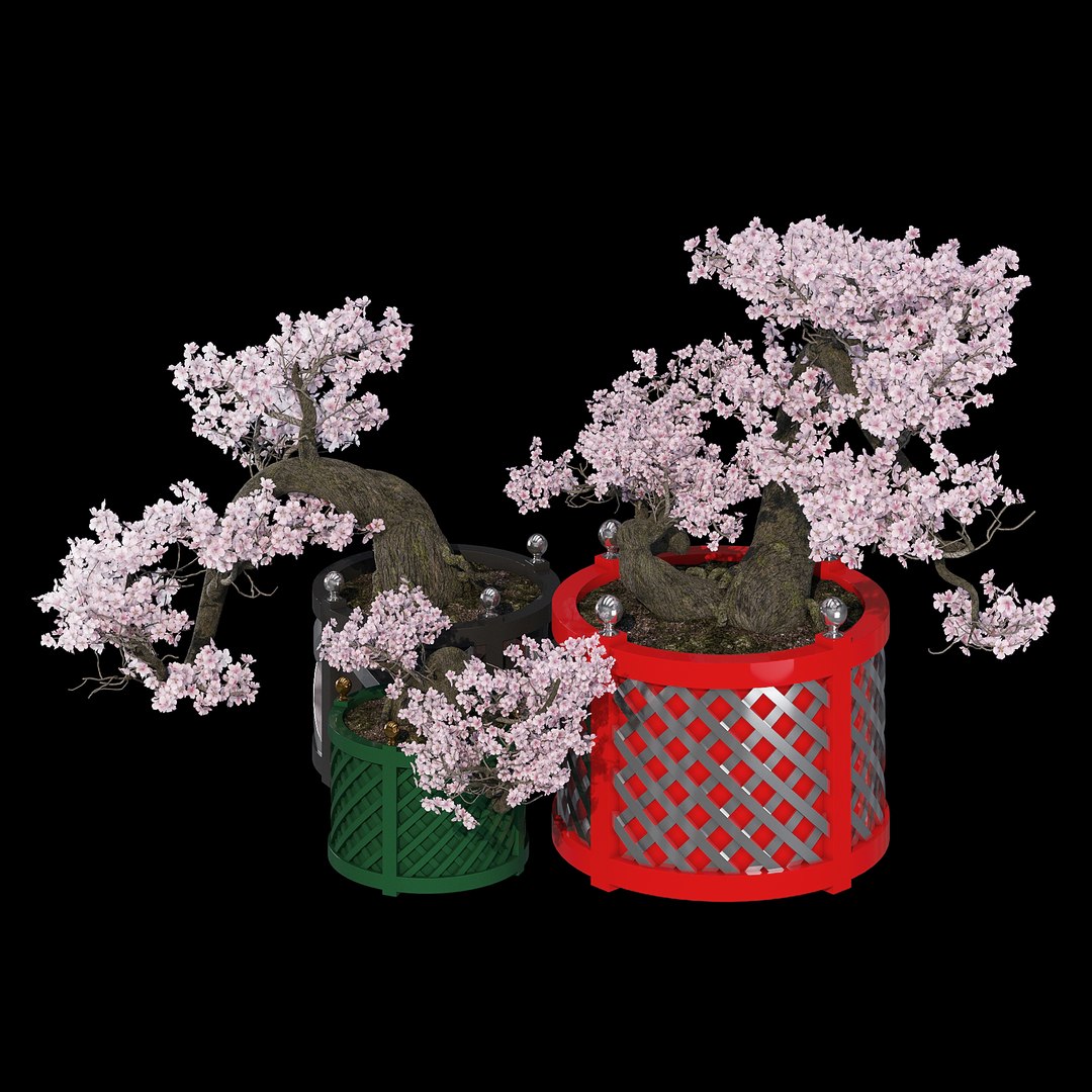 3D Sakura - TurboSquid 2017766