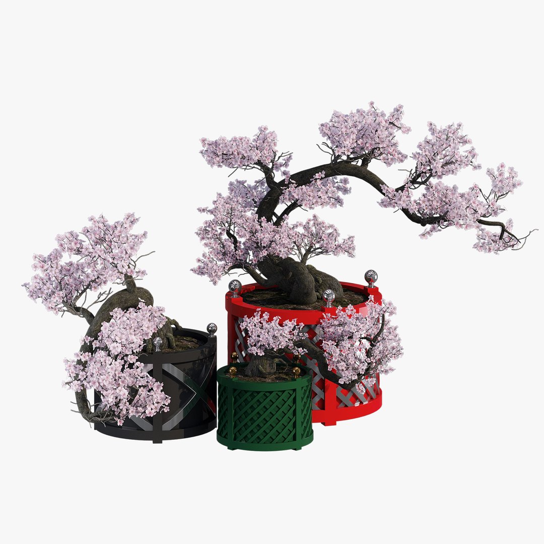 3D Sakura - TurboSquid 2017766