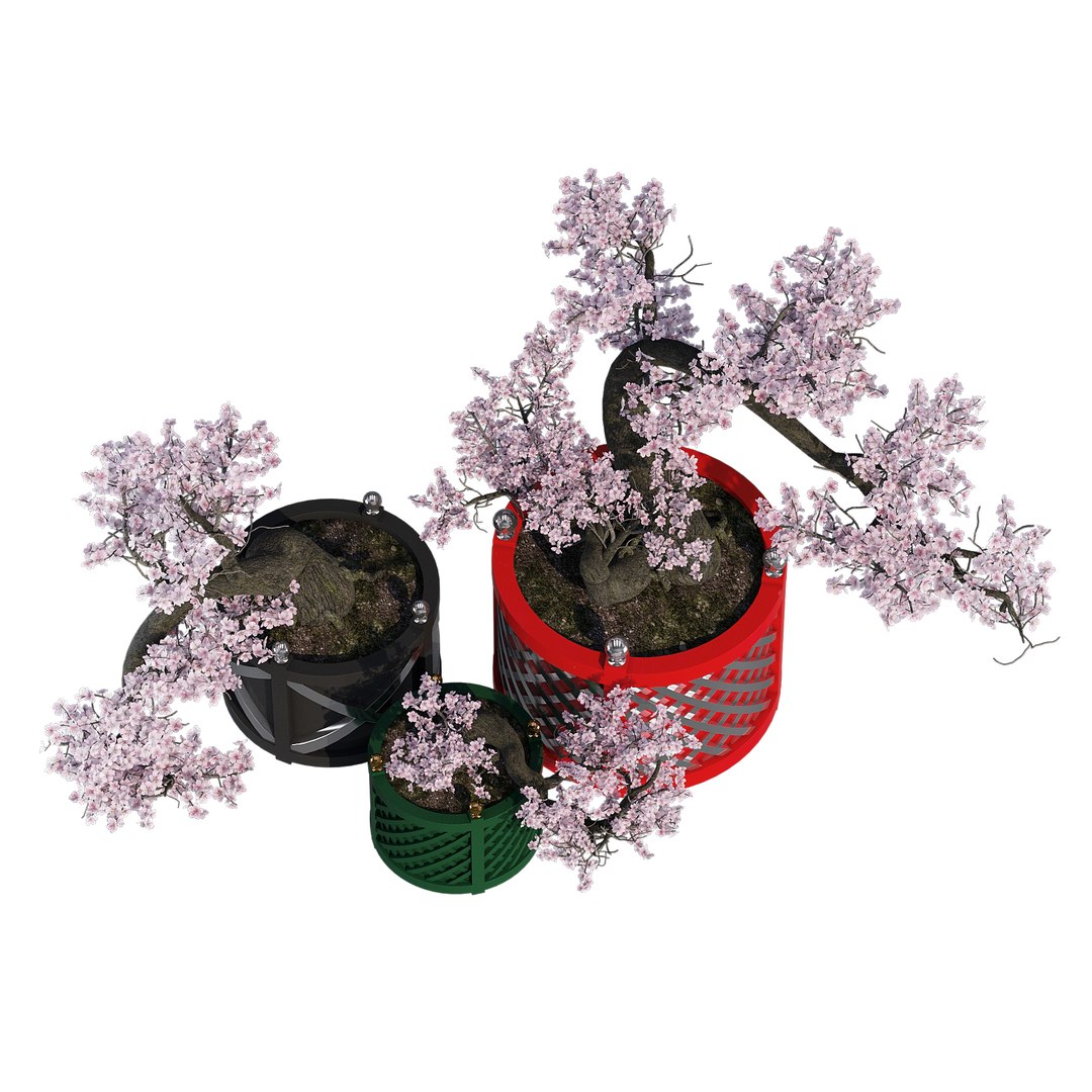 3D Sakura - TurboSquid 2017766