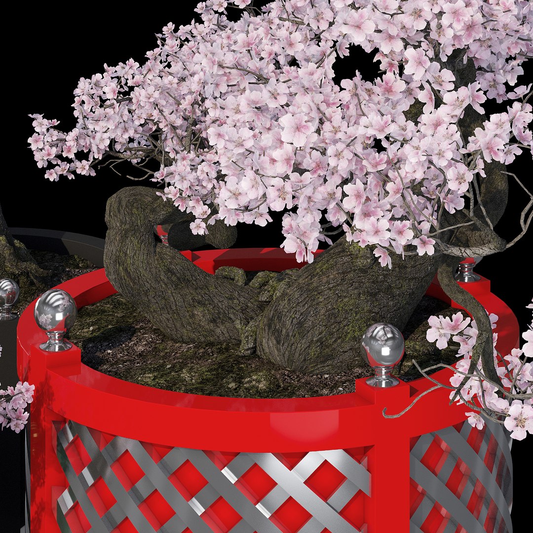 3D Sakura - TurboSquid 2017766