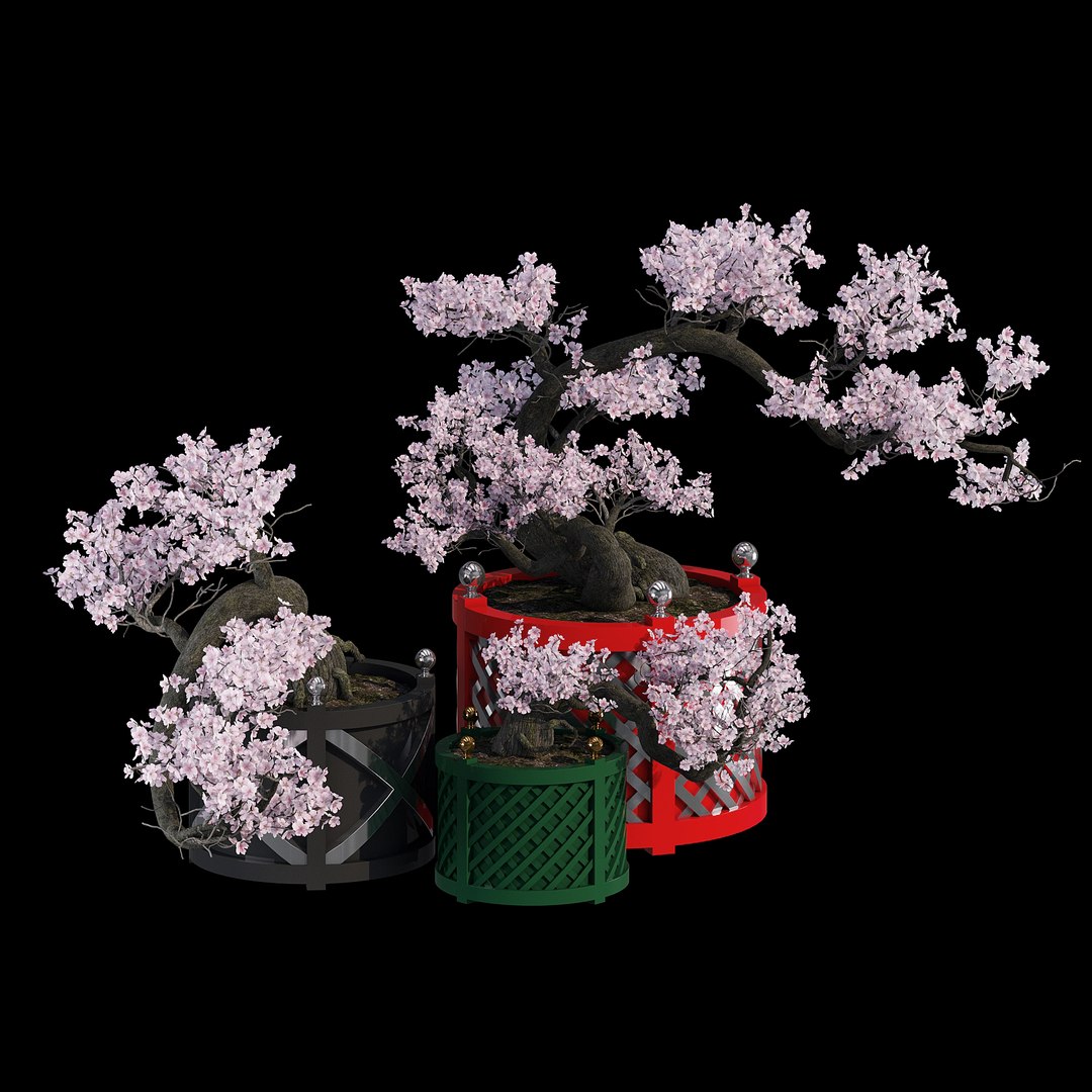 3D Sakura - TurboSquid 2017766