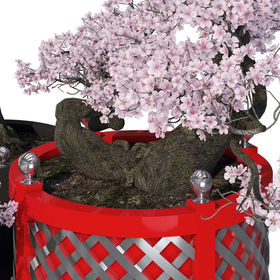 3D Sakura - TurboSquid 2017766