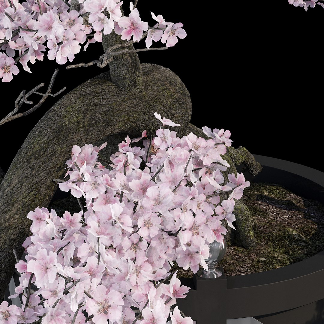 3D Sakura - TurboSquid 2017766