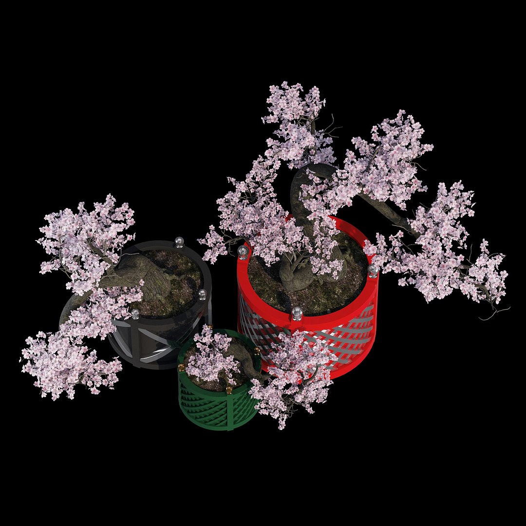 3D Sakura - TurboSquid 2017766