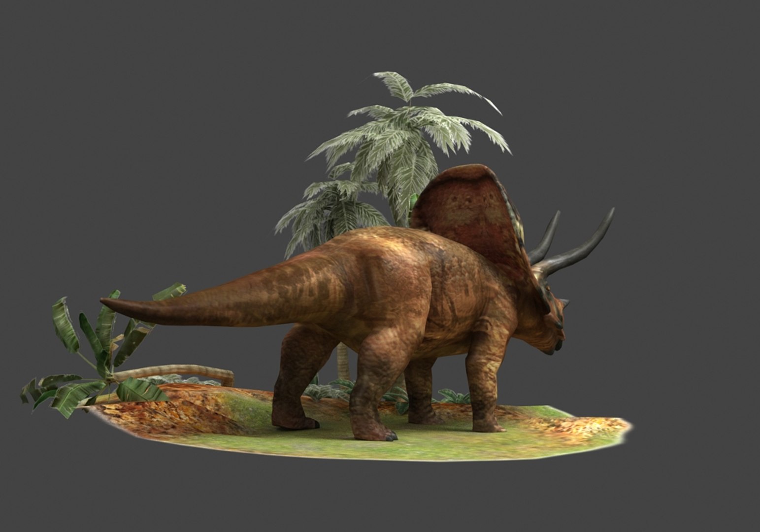 3D coelurosaurs triceratops herbivores ancient - TurboSquid 1621546