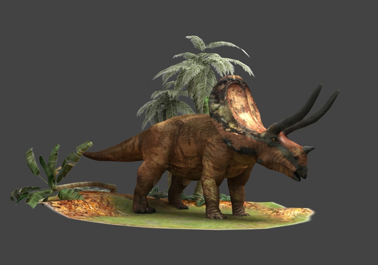 3D coelurosaurs triceratops herbivores ancient - TurboSquid 1621546
