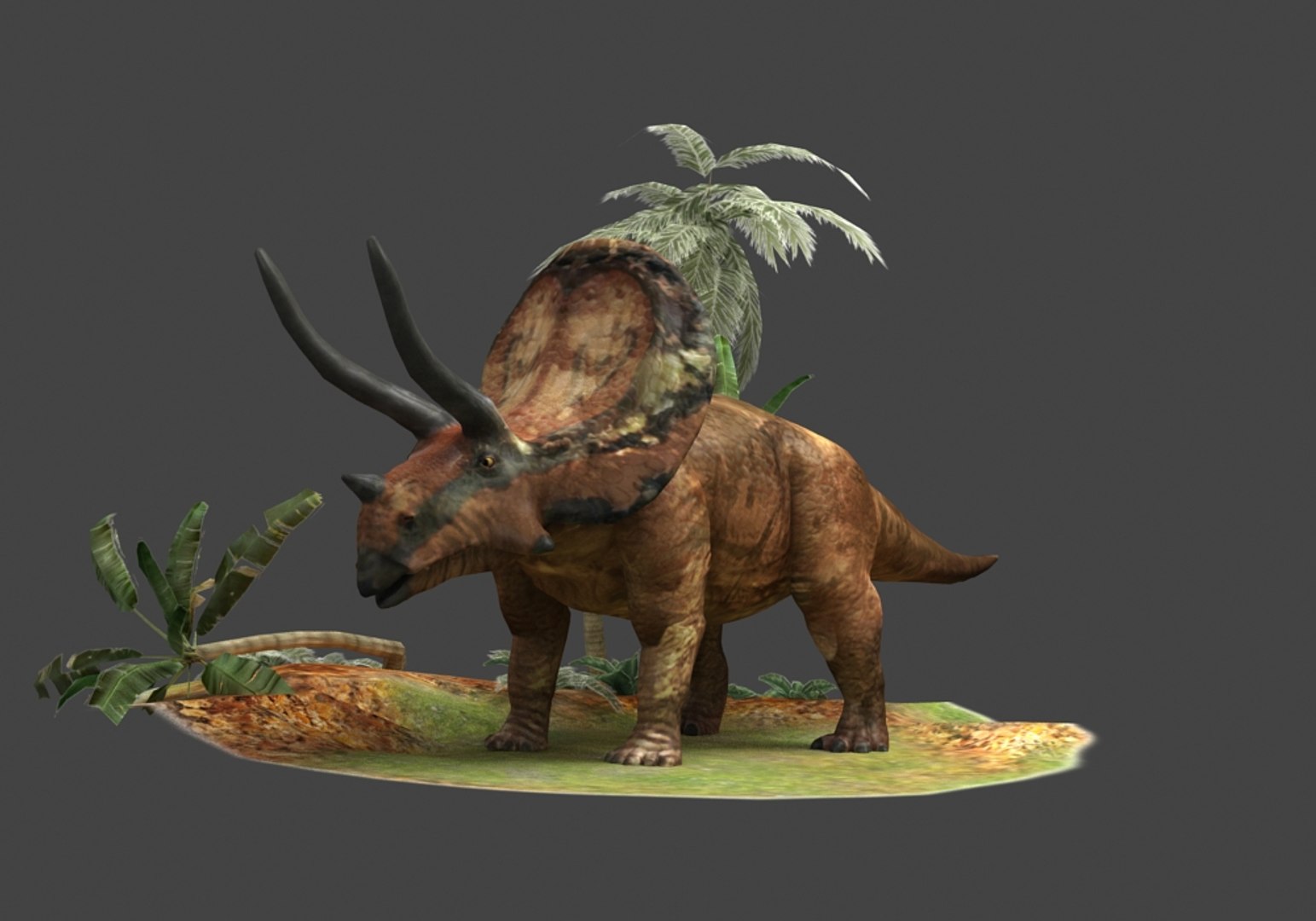 3D coelurosaurs triceratops herbivores ancient - TurboSquid 1621546