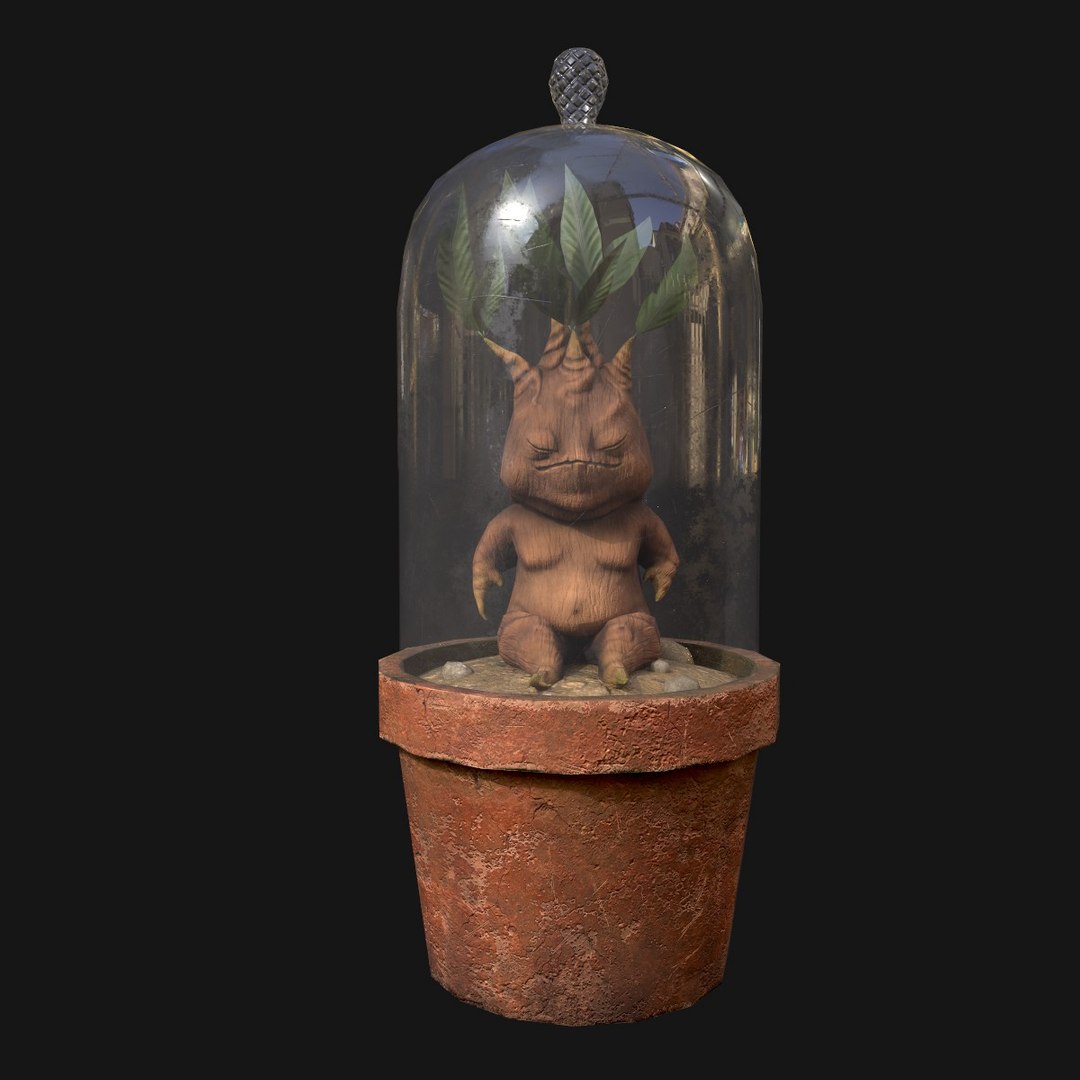 Mandrake Terrarium 3D - TurboSquid 2392842