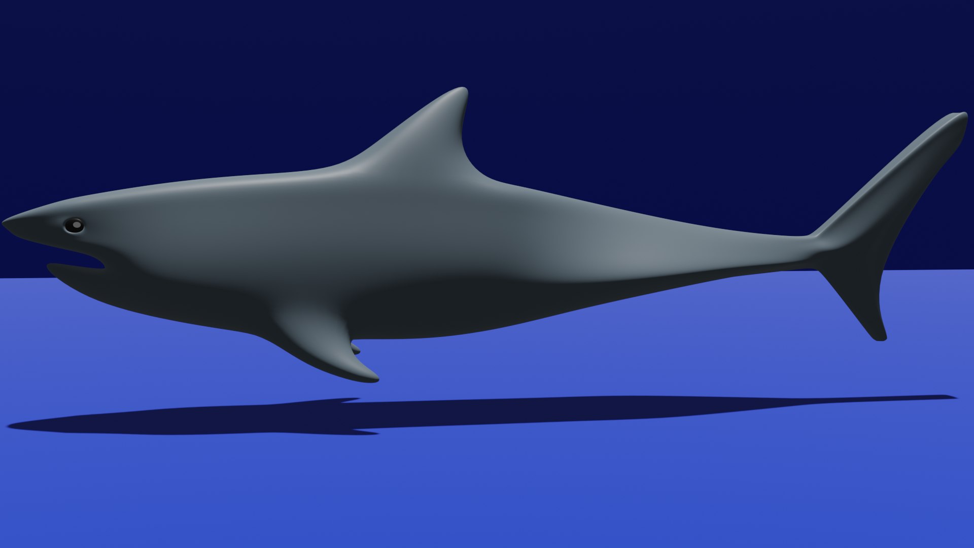 Shark Model - TurboSquid 2168222