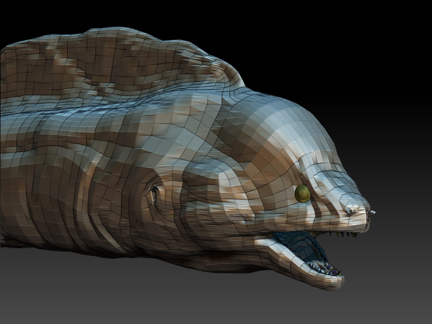 Moray Eel 3d Model