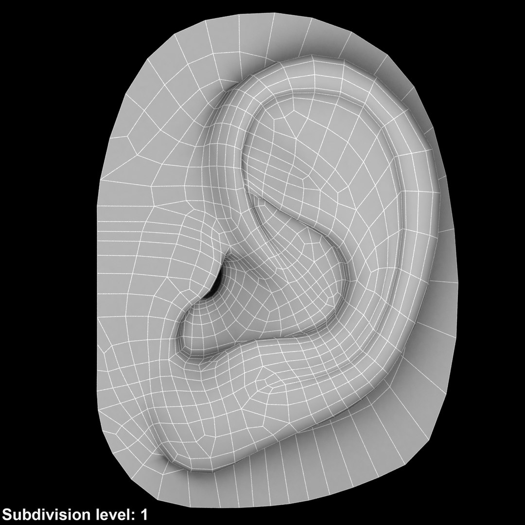 3ds Realistic Human Ear Printing