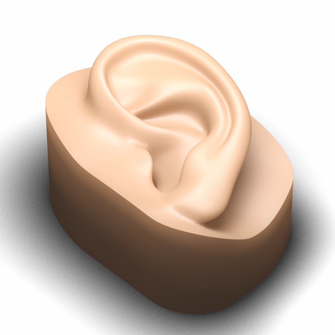 3ds Realistic Human Ear Printing