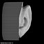 3ds Realistic Human Ear Printing