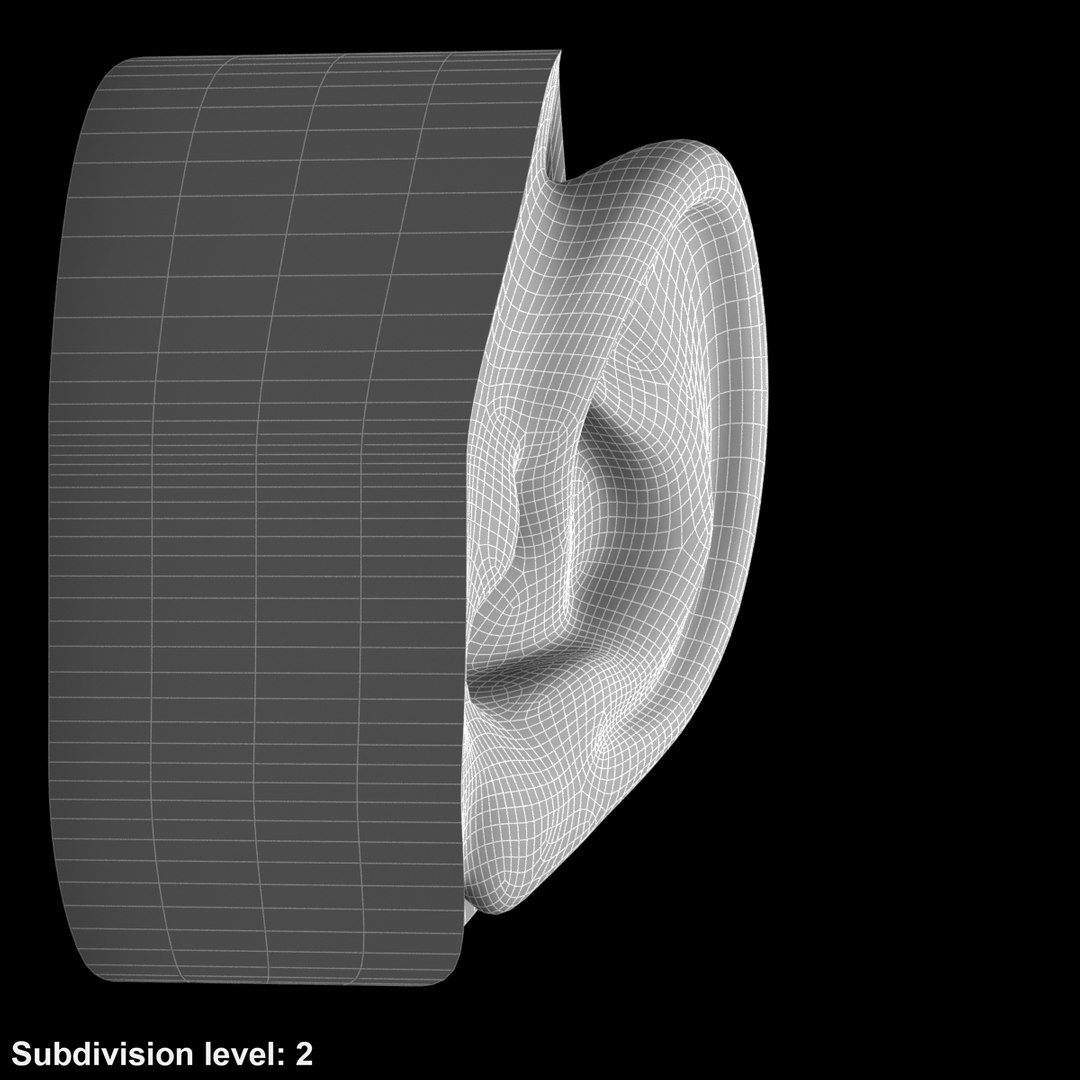 3ds Realistic Human Ear Printing