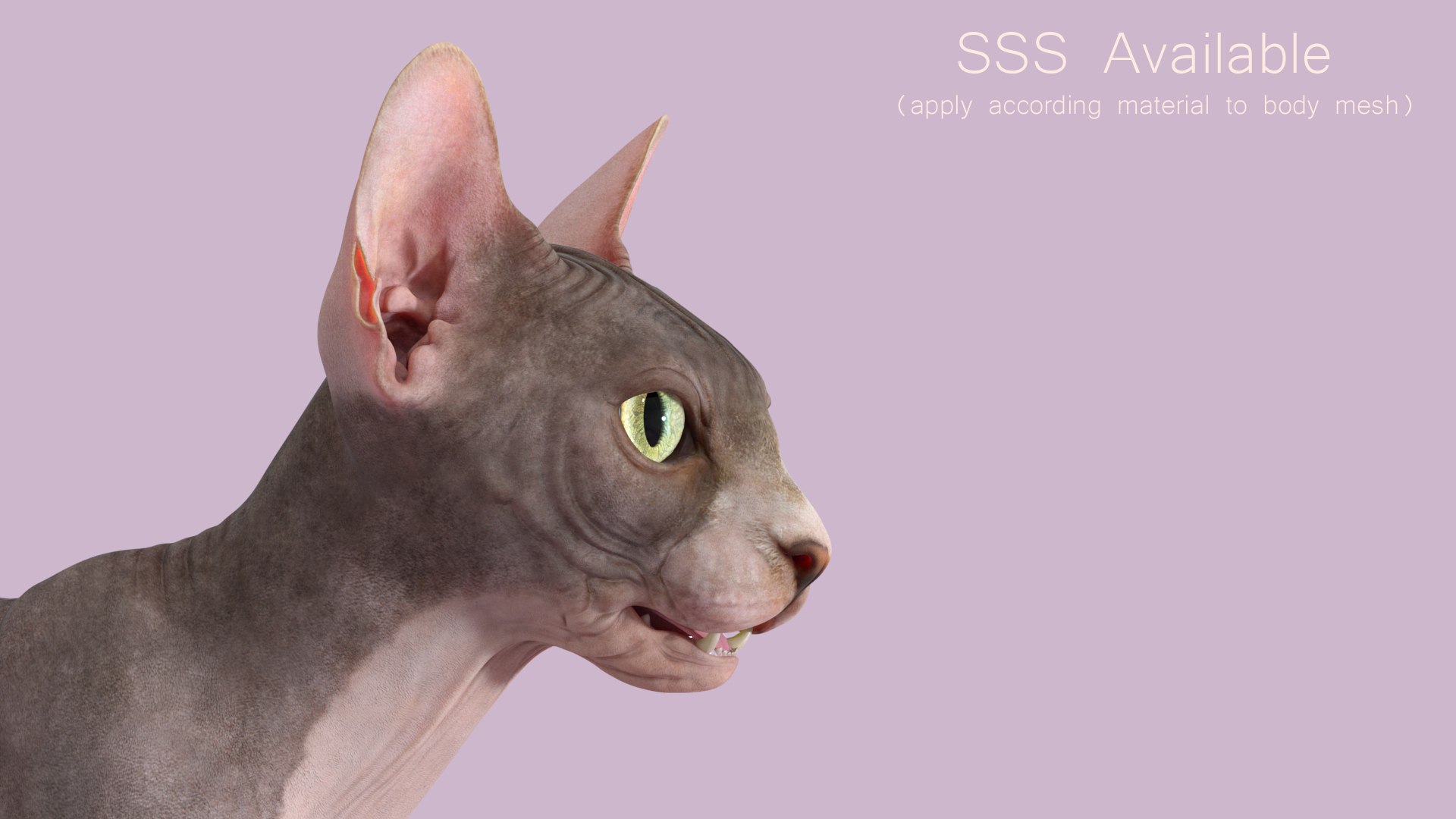 3D Model Sphynx Cat - TurboSquid 1712371