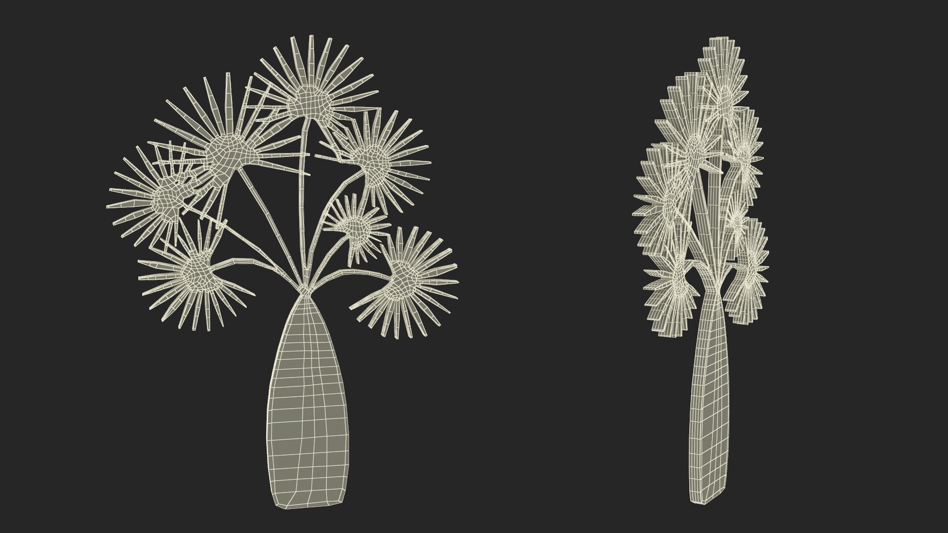 3D Date Tree Silhouette - TurboSquid 2225222