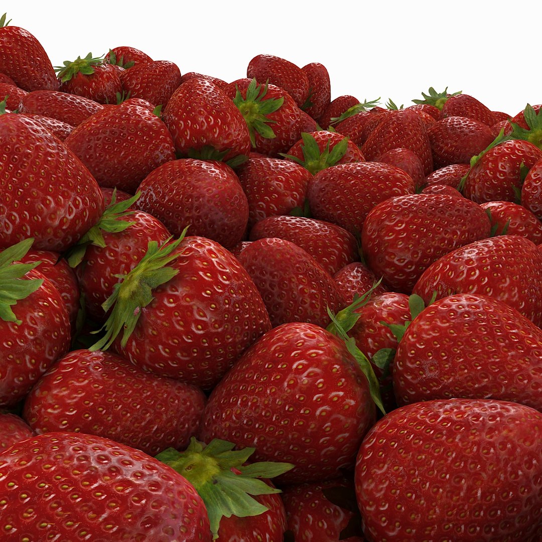 3d Plant Plantation Market Model