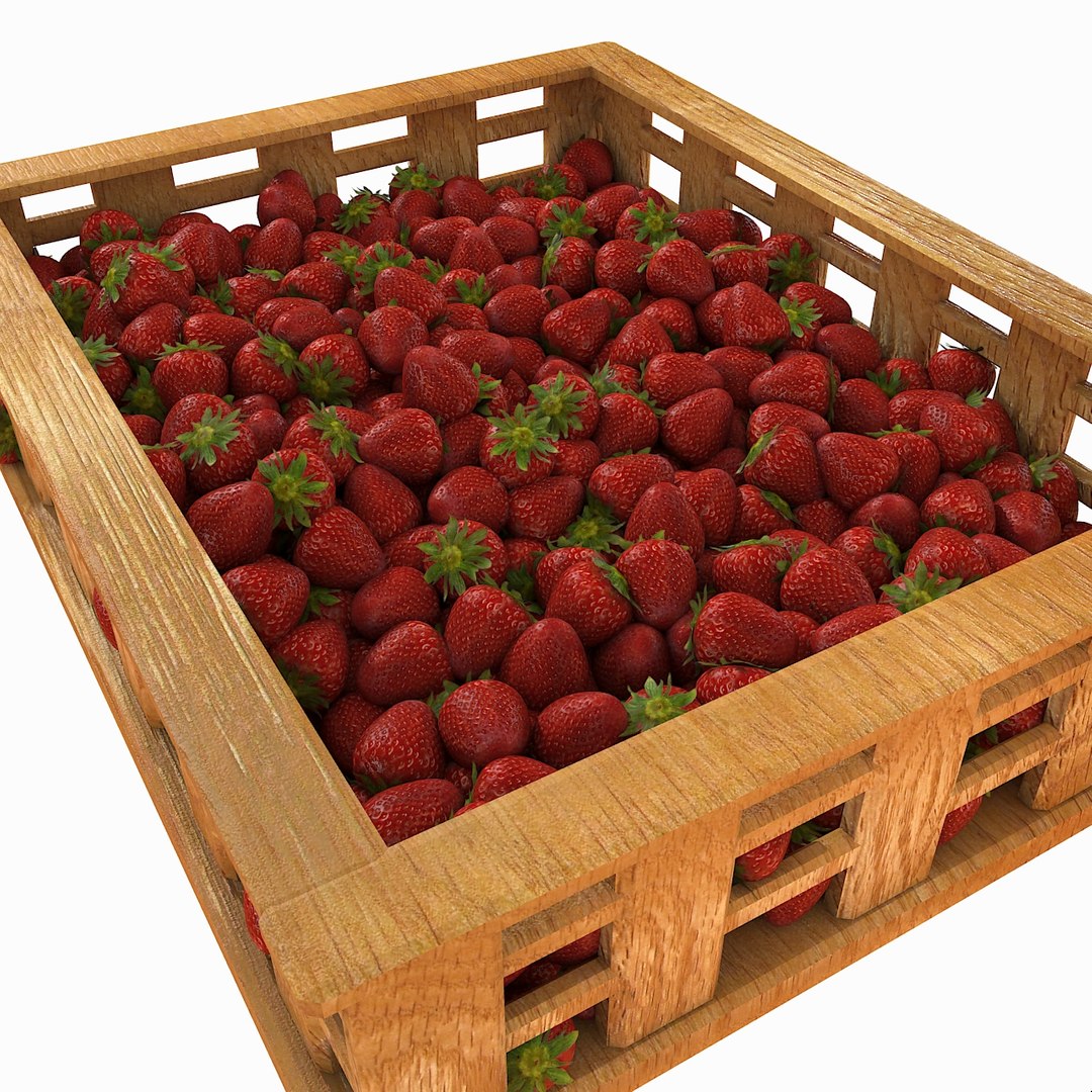 3d Plant Plantation Market Model