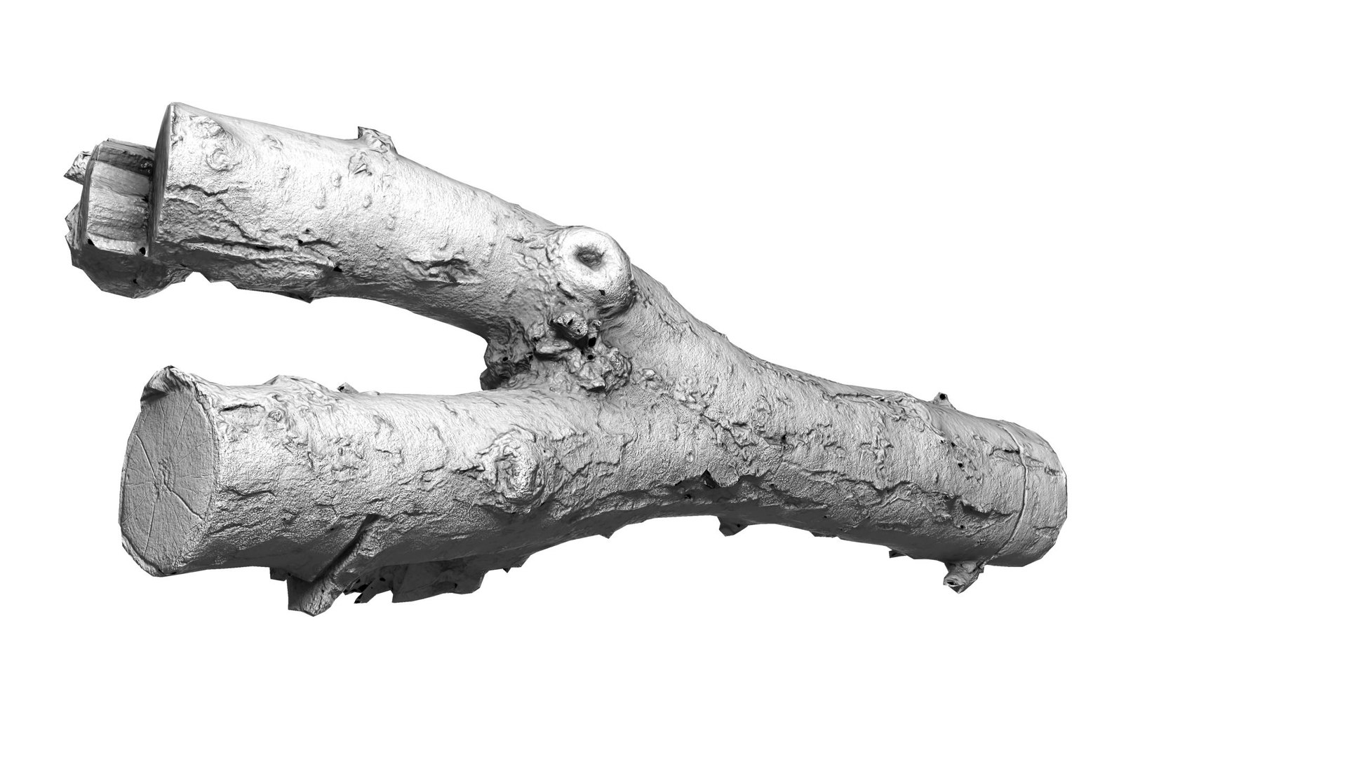 3d Branch Rotten Wood