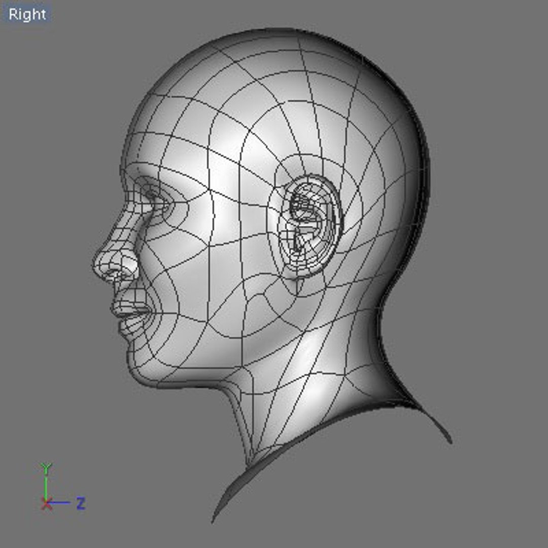 Cate Human Female Head Dxf