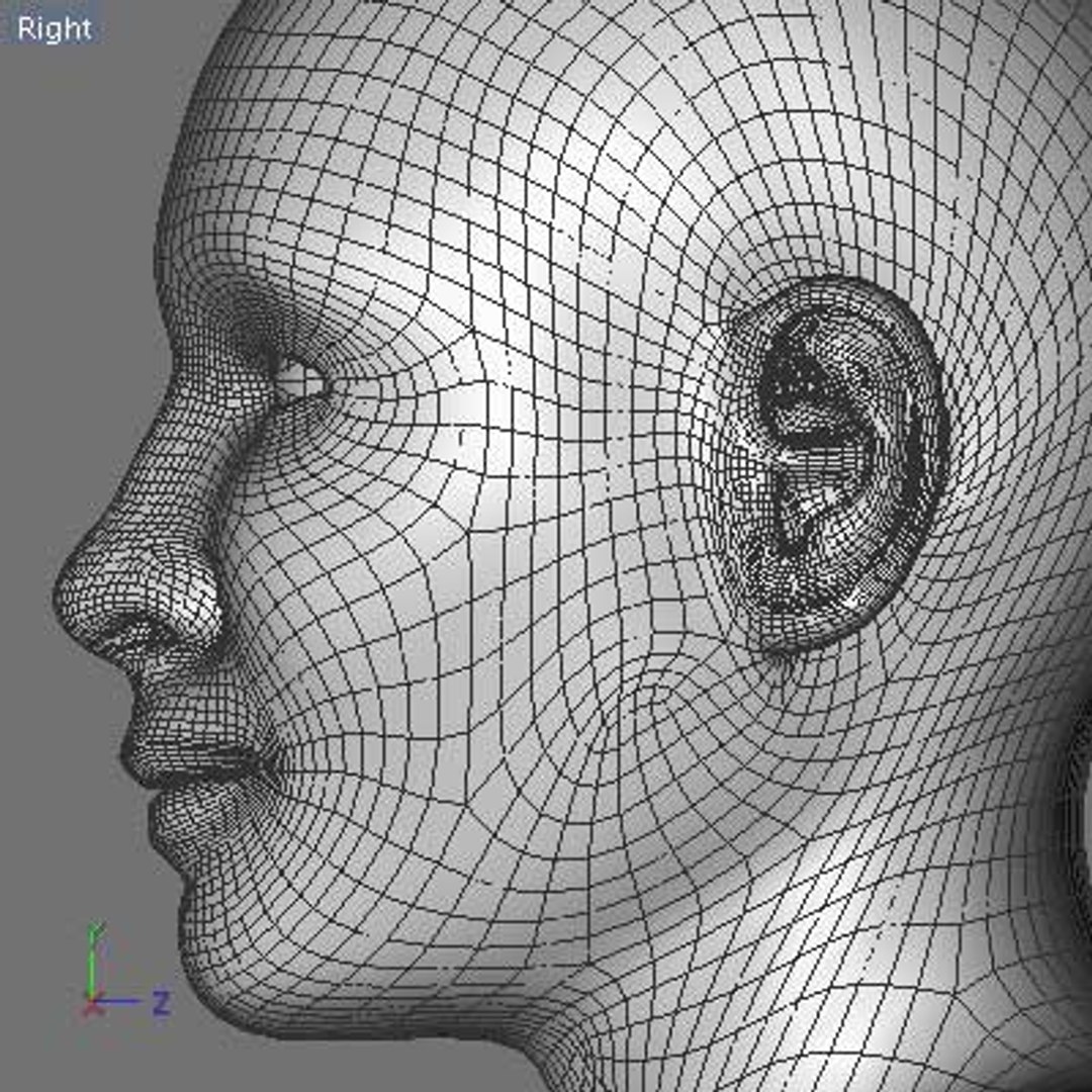 Cate Human Female Head Dxf