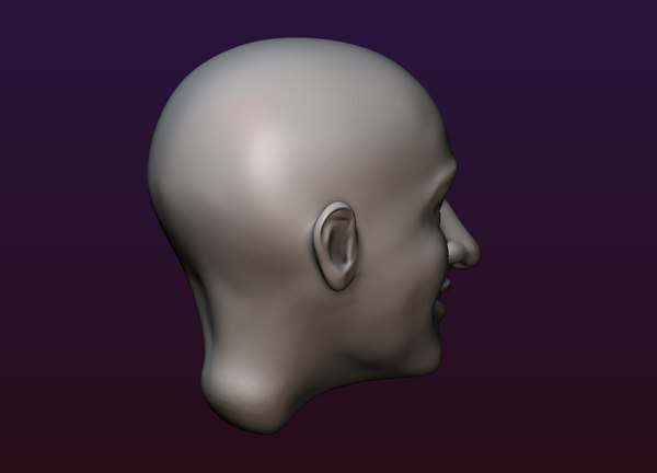 3D Male head 6 Bald head - TurboSquid 1889194