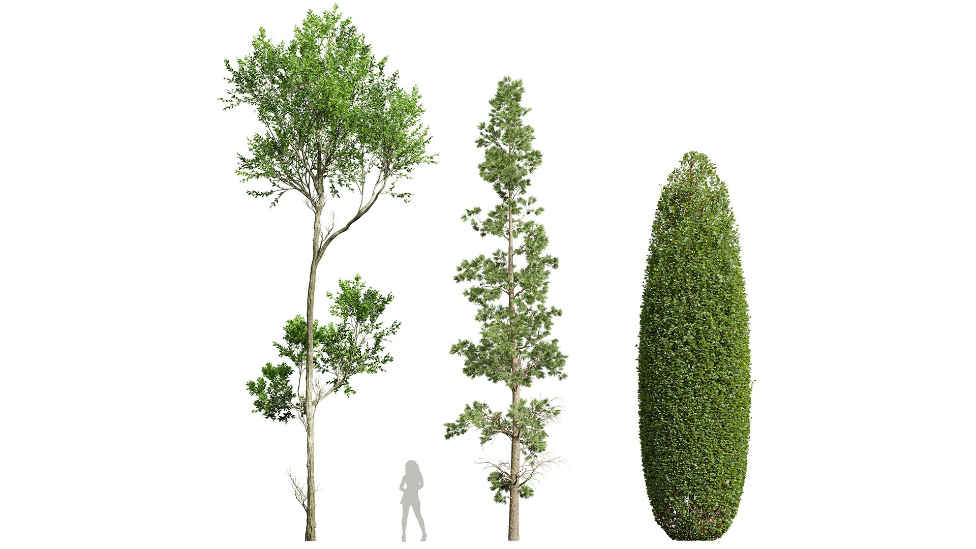 6Different SETS Of Tree Set Vol 29 3D Model - TurboSquid 2205092