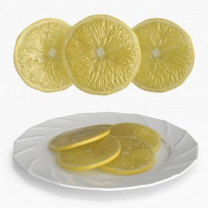 Lemon Blender Models for Download | TurboSquid
