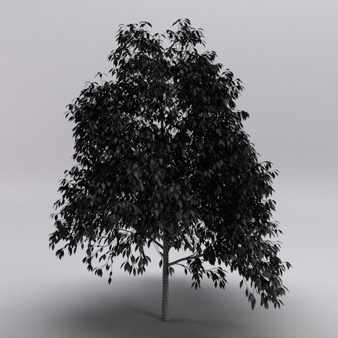 3d max tree plants