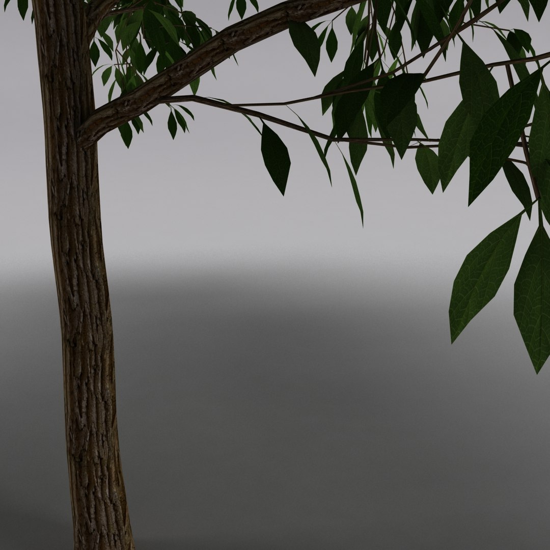 3d max tree plants