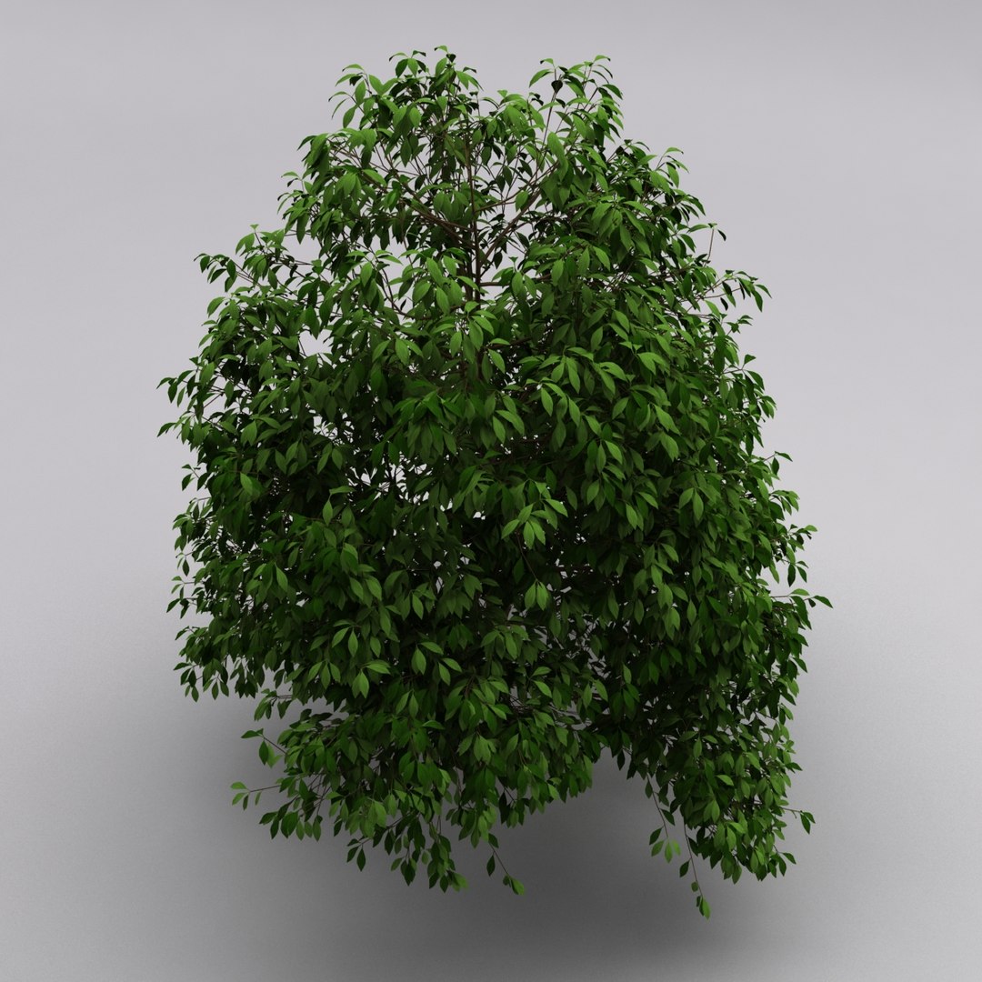 3d max tree plants