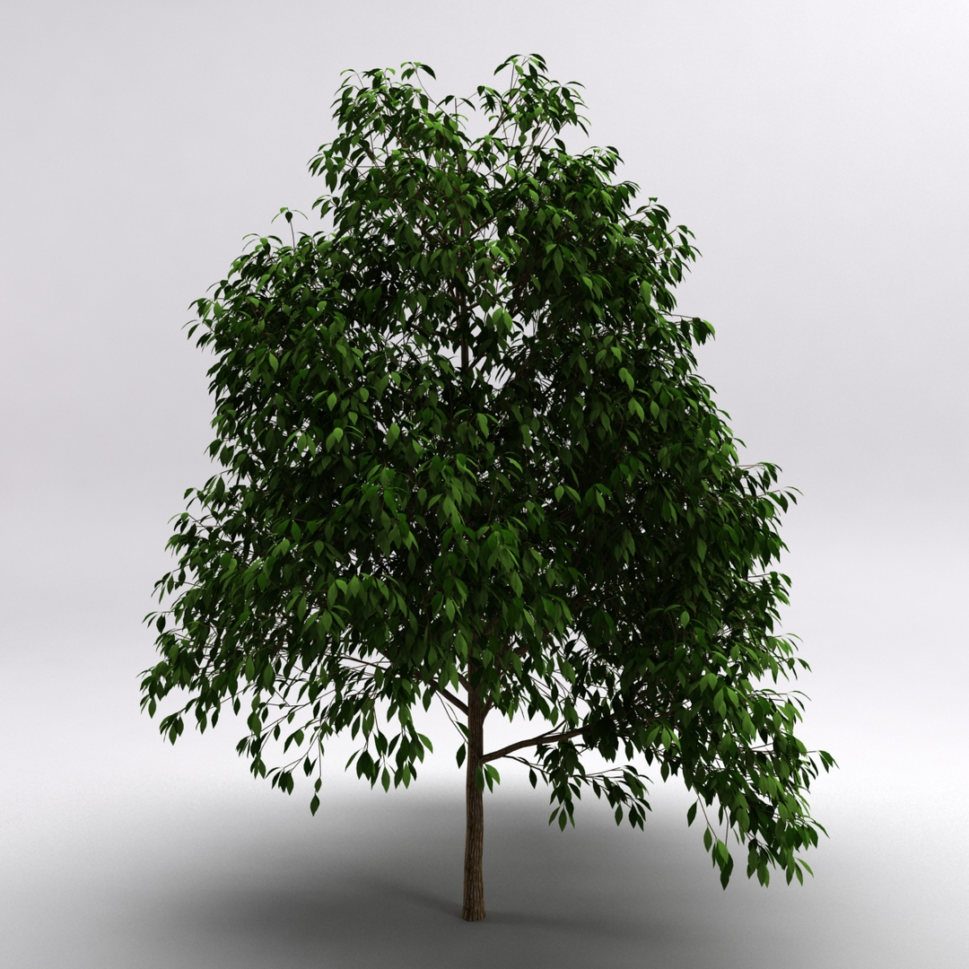 3d max tree plants
