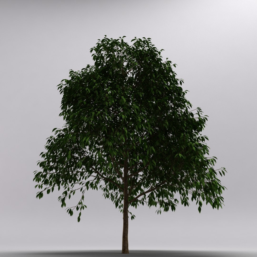 3d max tree plants