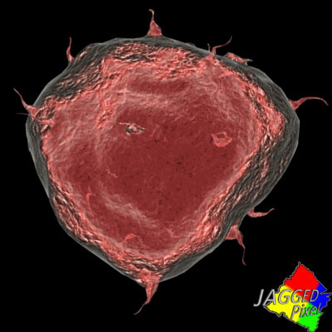 3d Human Liver Cell Model