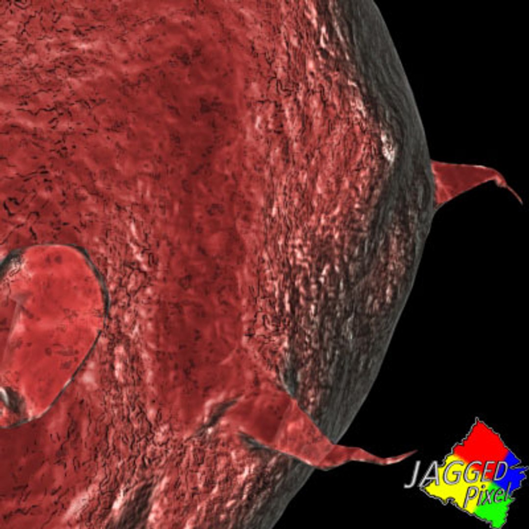 3d Human Liver Cell Model