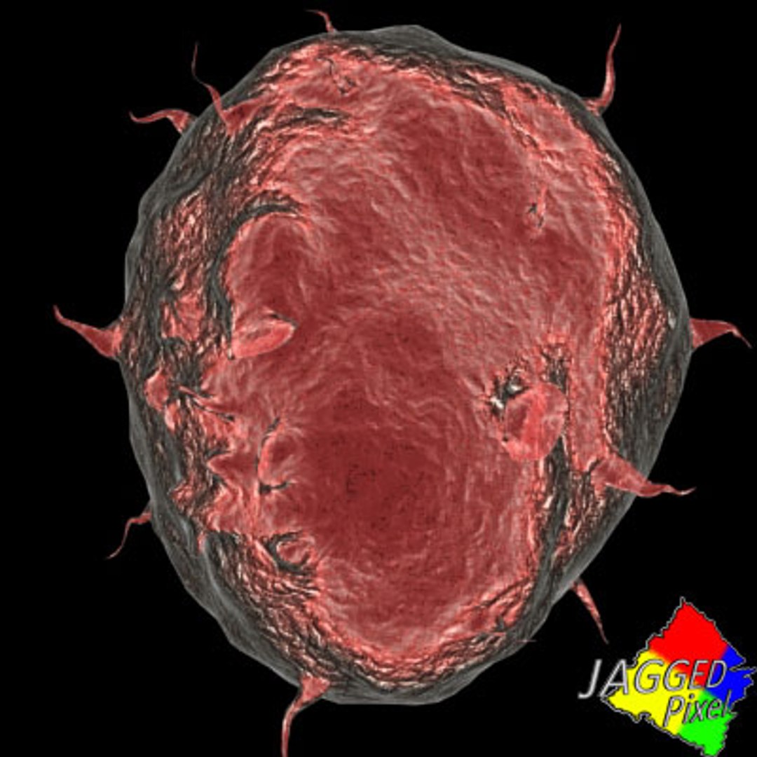 3d Human Liver Cell Model